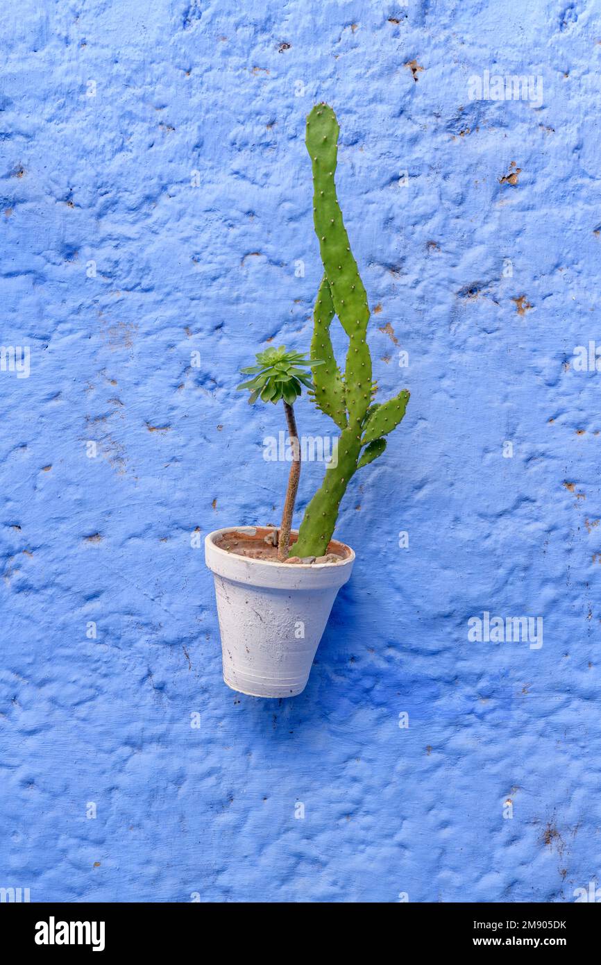 Fun details in the beautiful city of Chefchaouen in Morocco. Also known ...