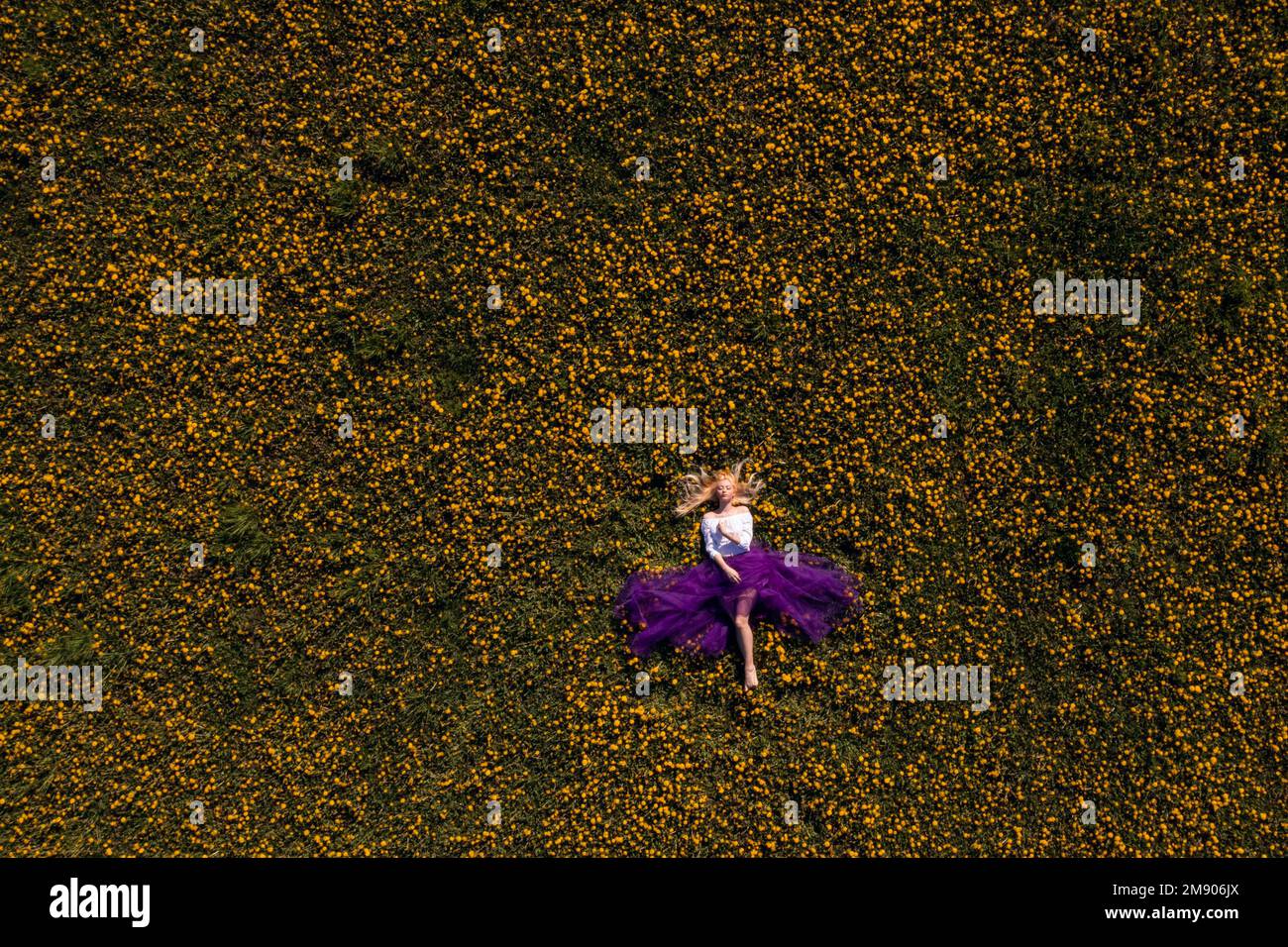 An aerial view of a young girl lying on her back in a flower field ...