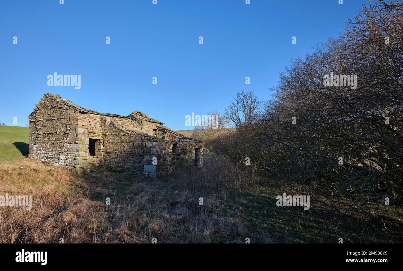Disused traditional farm barn by Semerwater. Hawes, North Yorkshire ...