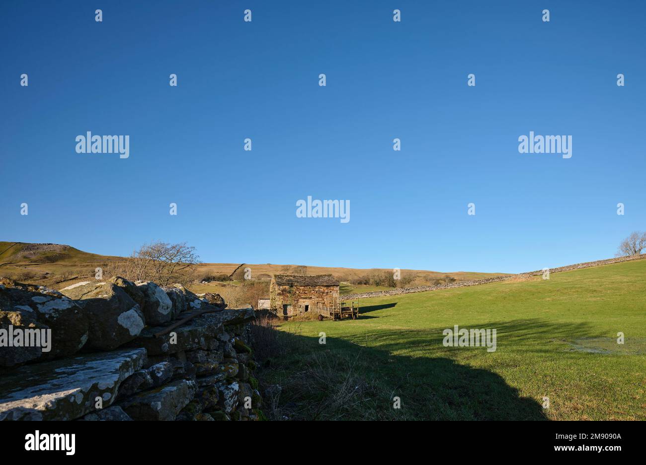 With a flock of crows on the horizon, a traditional stone farm barn by ...
