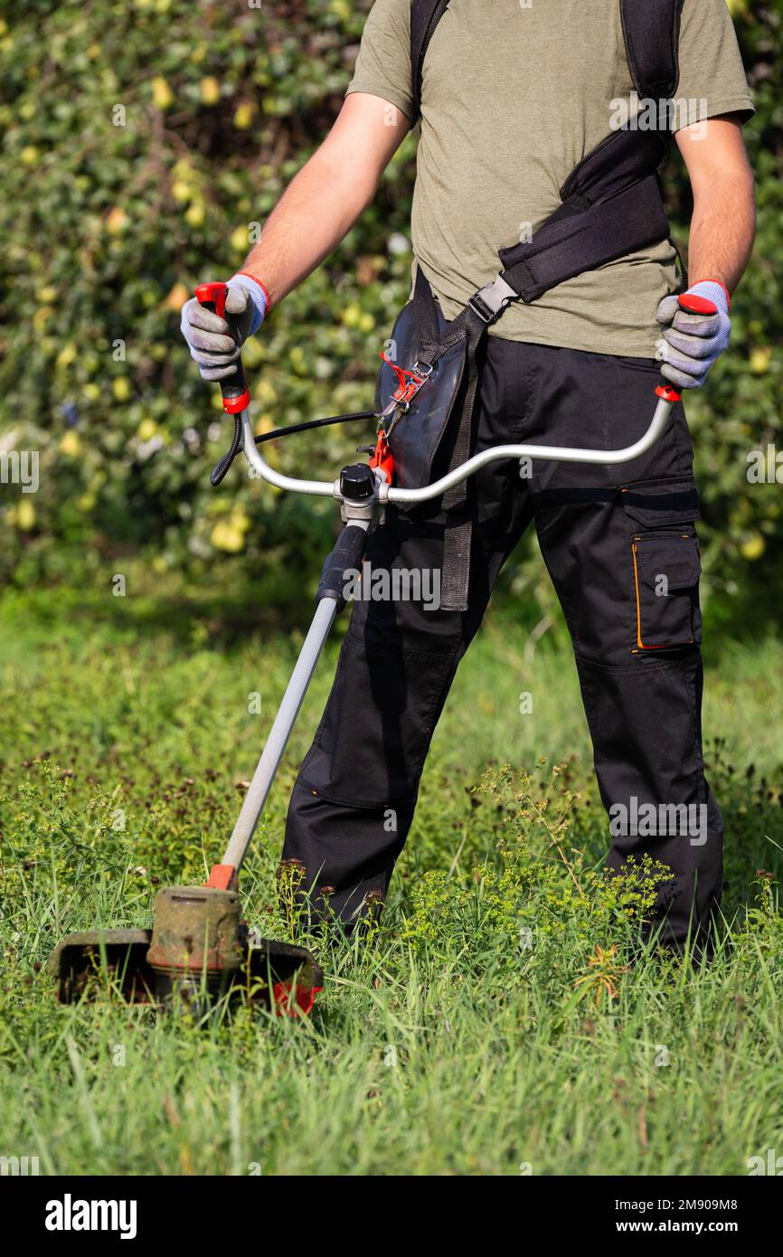 Gardening concept. Man cutting the lawn with grass trimmer Stock Photo ...