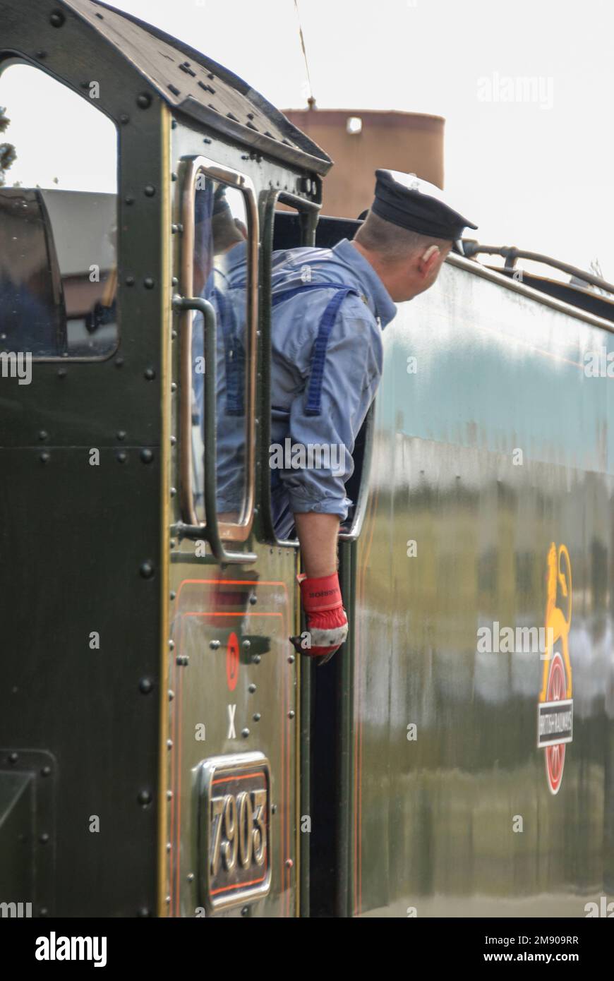 The train driver leans out of his cab on the 1949-built steam train ...