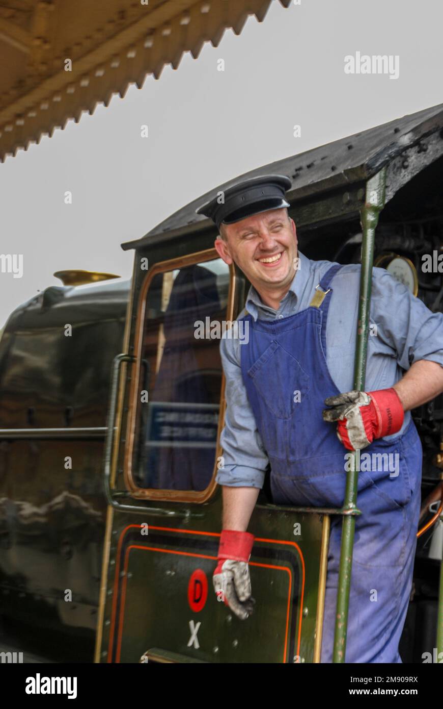 The train driver leans out of his cab on the 1949-built steam train ...