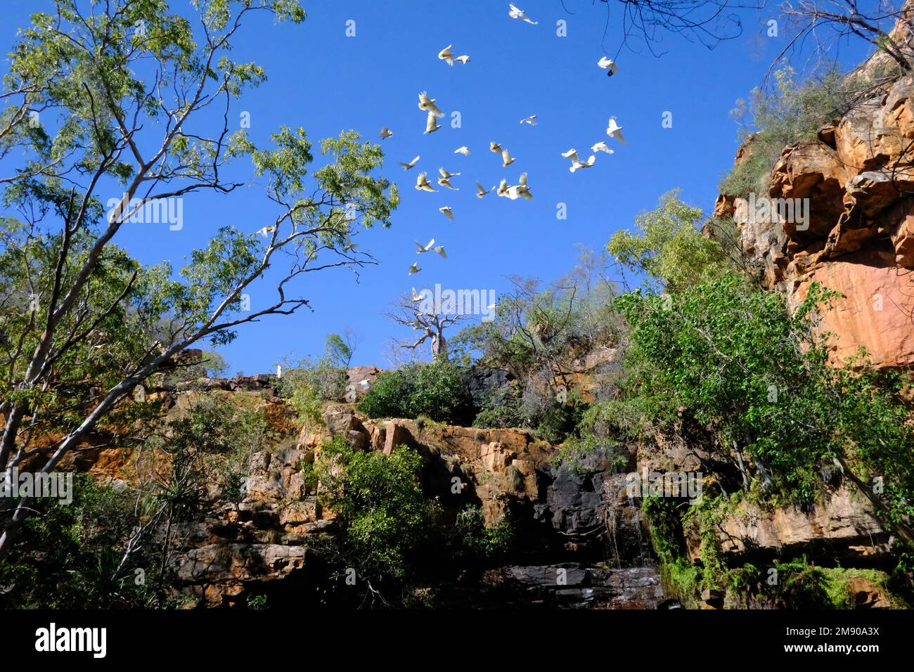 Kimberley scene outback australia hi-res stock photography and images ...