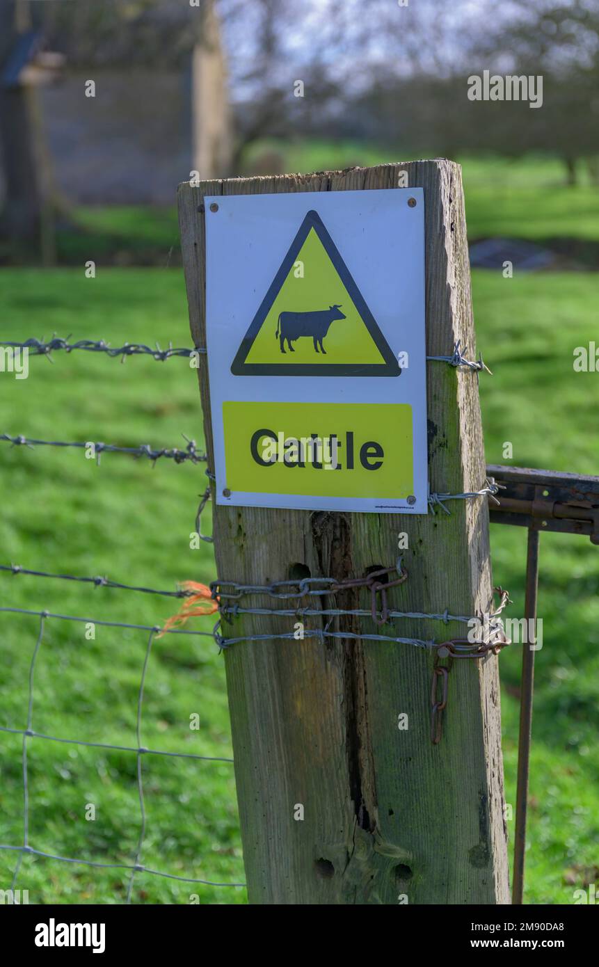 Lincolnshire, England UK - A cattle warning sign on a gatepost on a ...