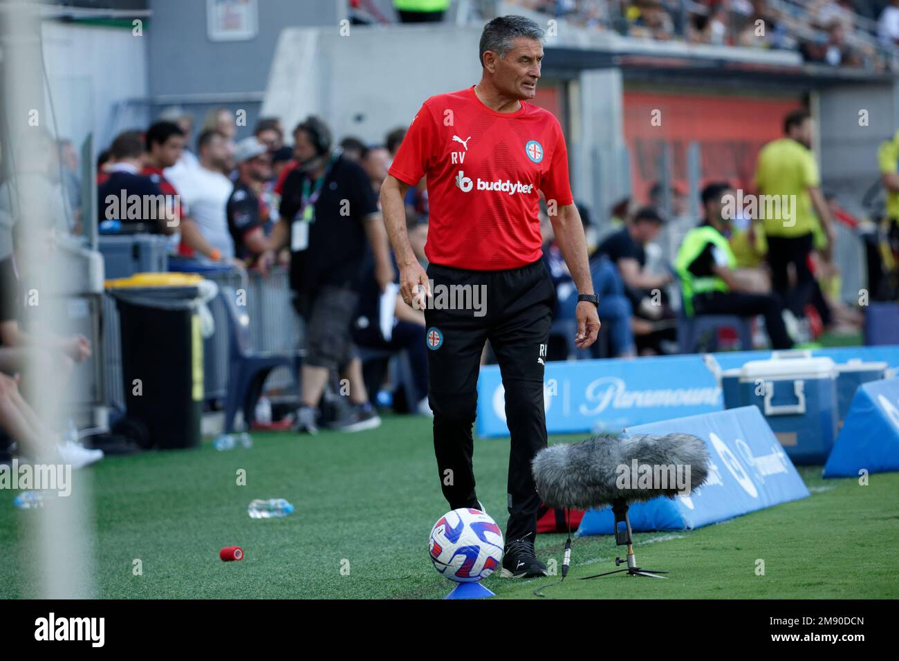 Sydney, Australia. January 15, 2023 Coach, Rado Vidosic of Melbourne ...