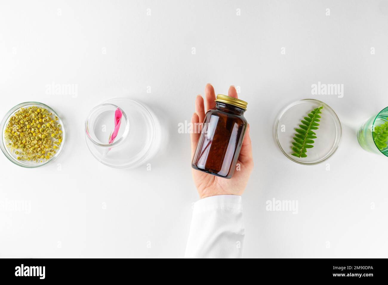 Making herbal dietary supplement in lab with plant leaves. Health and ...