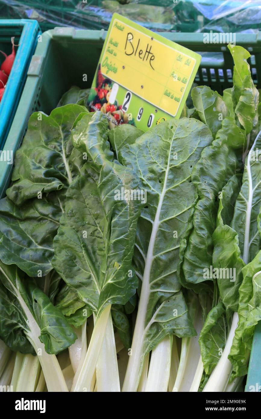 Feuille de prix hi-res stock photography and images - Alamy