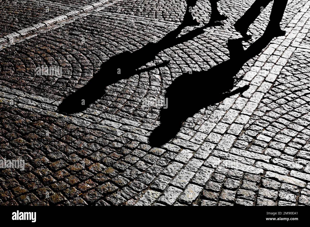 Black Shadows on the pavement Stock Photo - Alamy