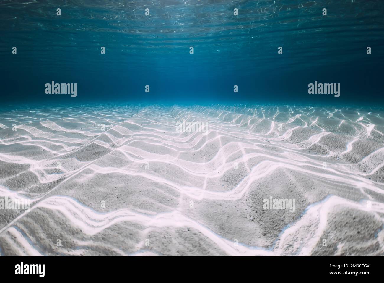 Underwater blue ocean background with sandy sea bottom Stock Photo - Alamy
