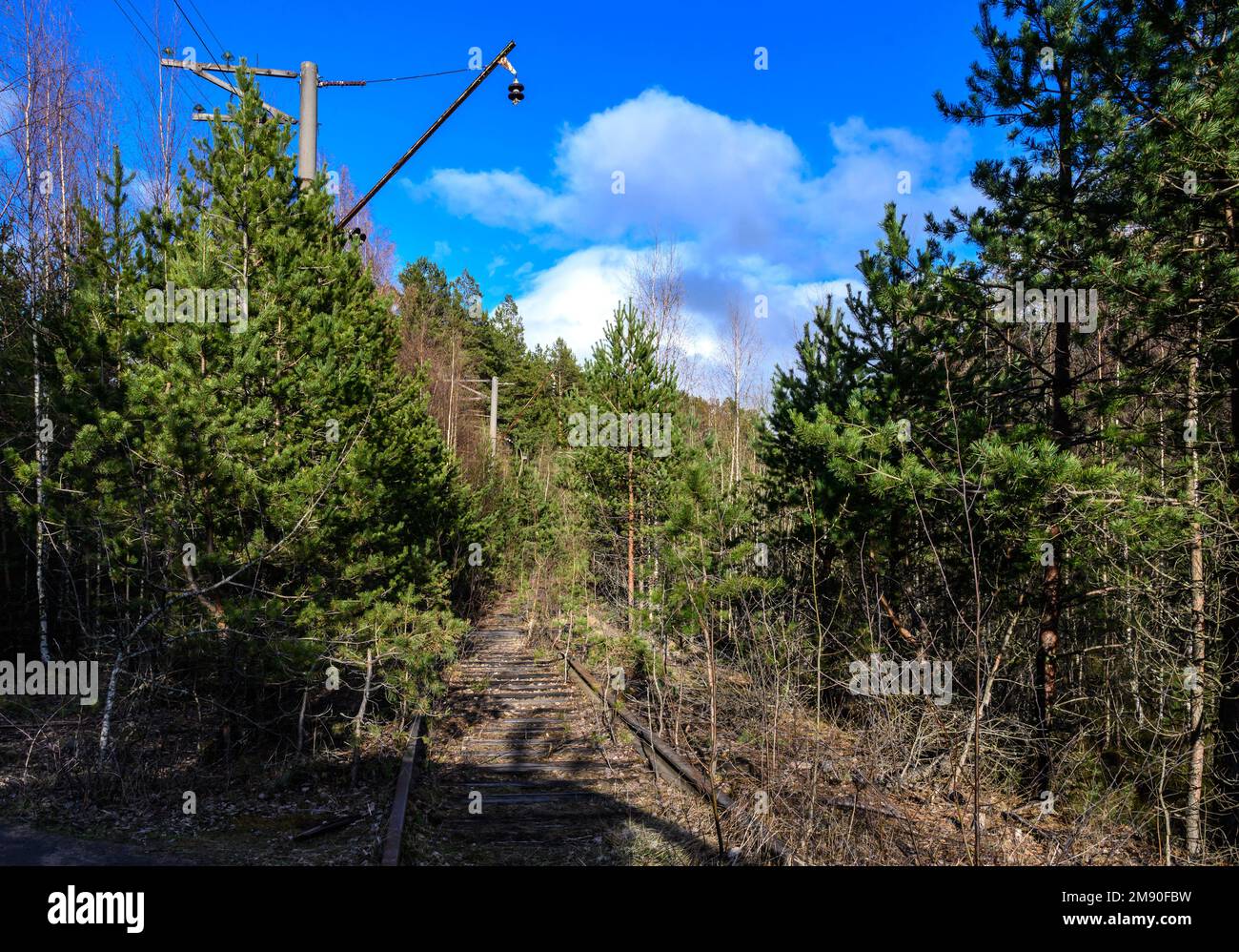 overgrown with trees and bushes railway. Abandoned railway track Stock ...