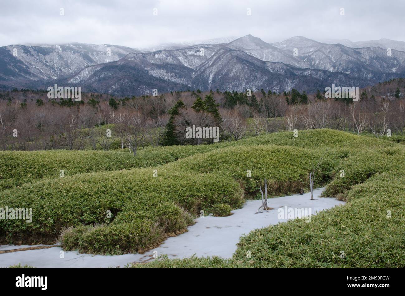 Frozen pond in Shiretoko Goko Lake and Shiretoko Mountain Range ...