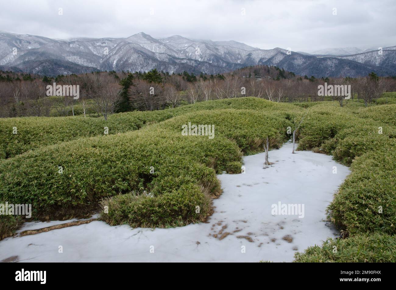 Frozen pond in Shiretoko Goko Lake and Shiretoko Mountain Range ...