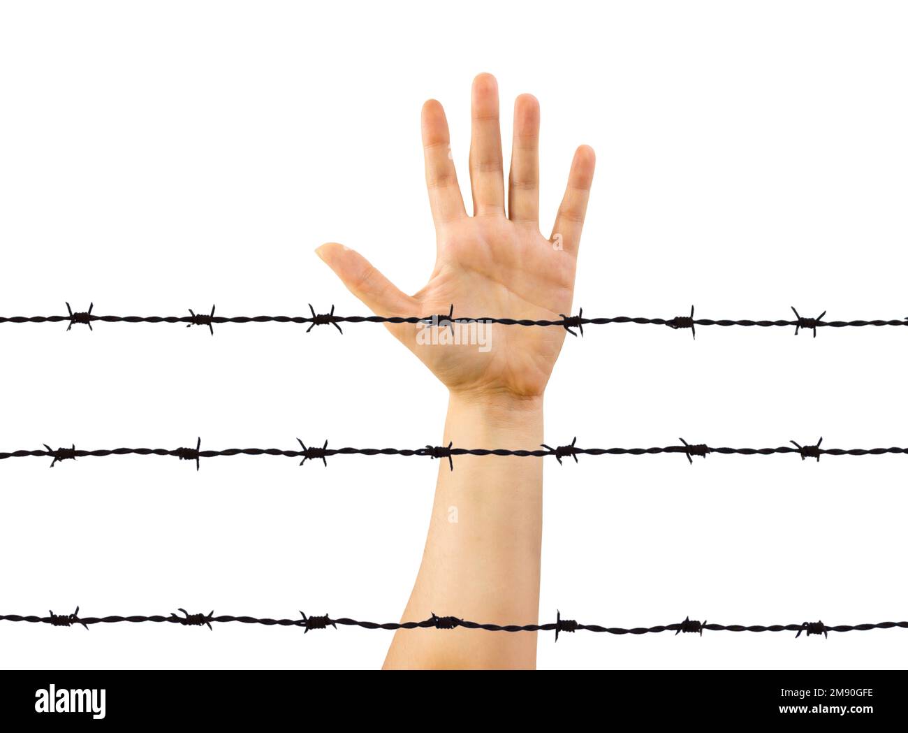 Hand with barbed wire fist, resistance and revolution symbol concept ...