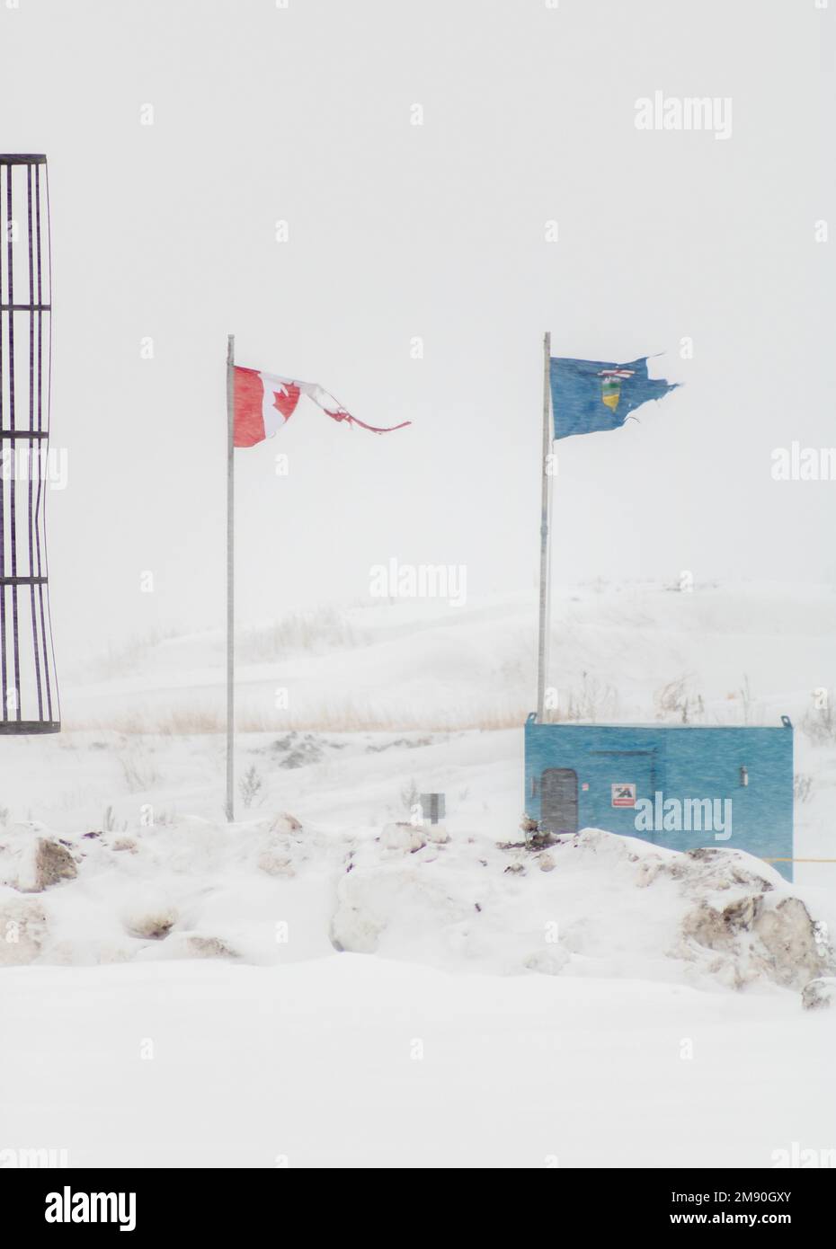 Tattered Canadian and Albertan flag on a snowy and windy day Stock ...