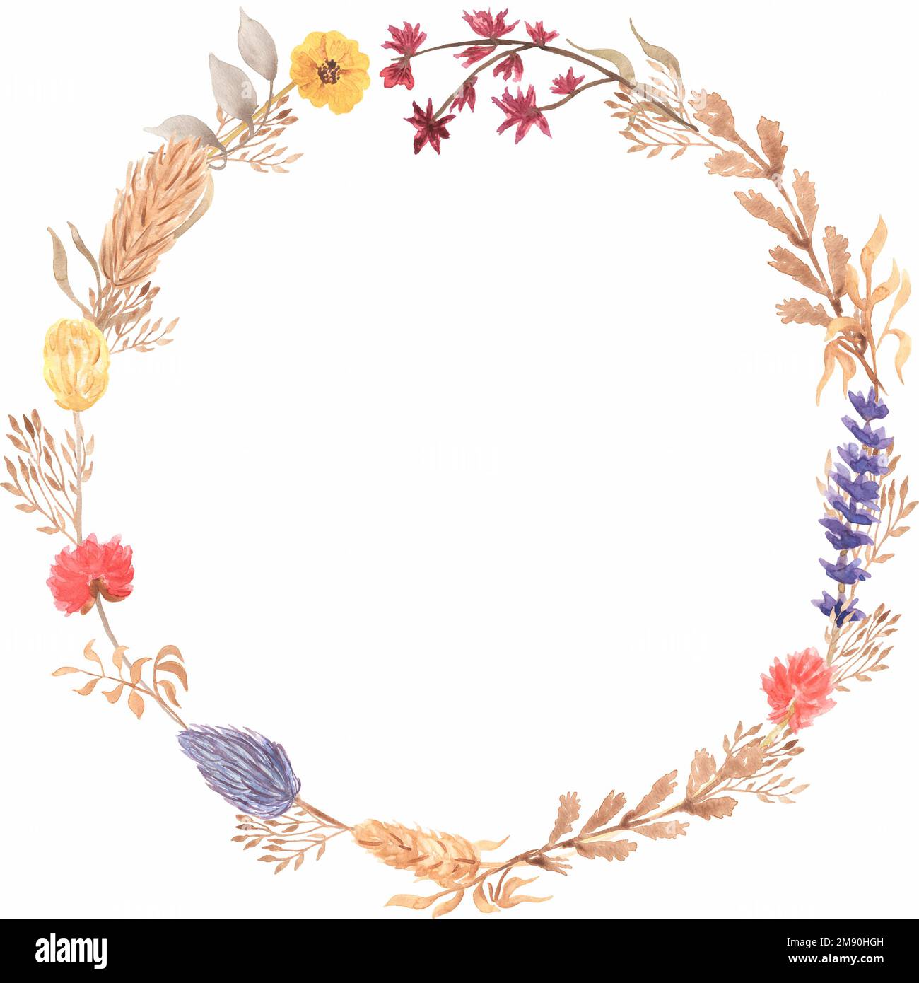 Hand Drawn Watercolor Wildflowers Wreath Illustration Watercolor Meadow