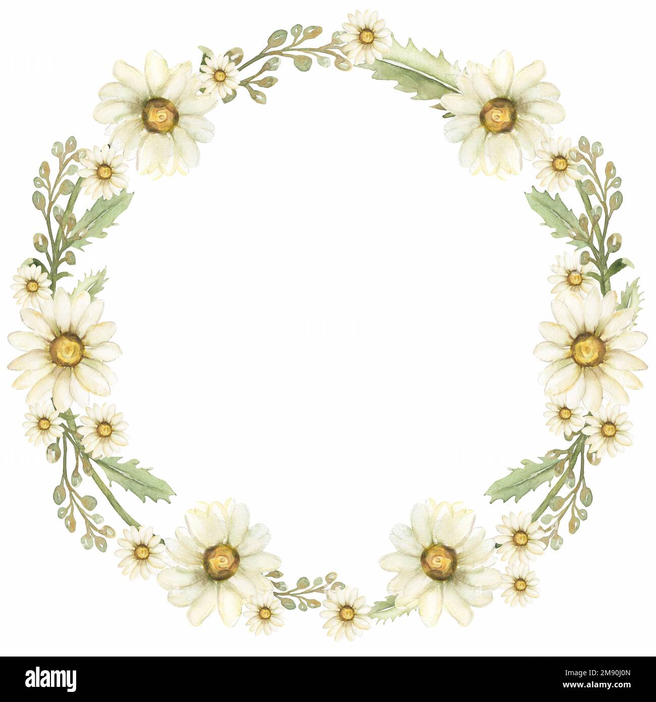 White Daisy Border Clip Art