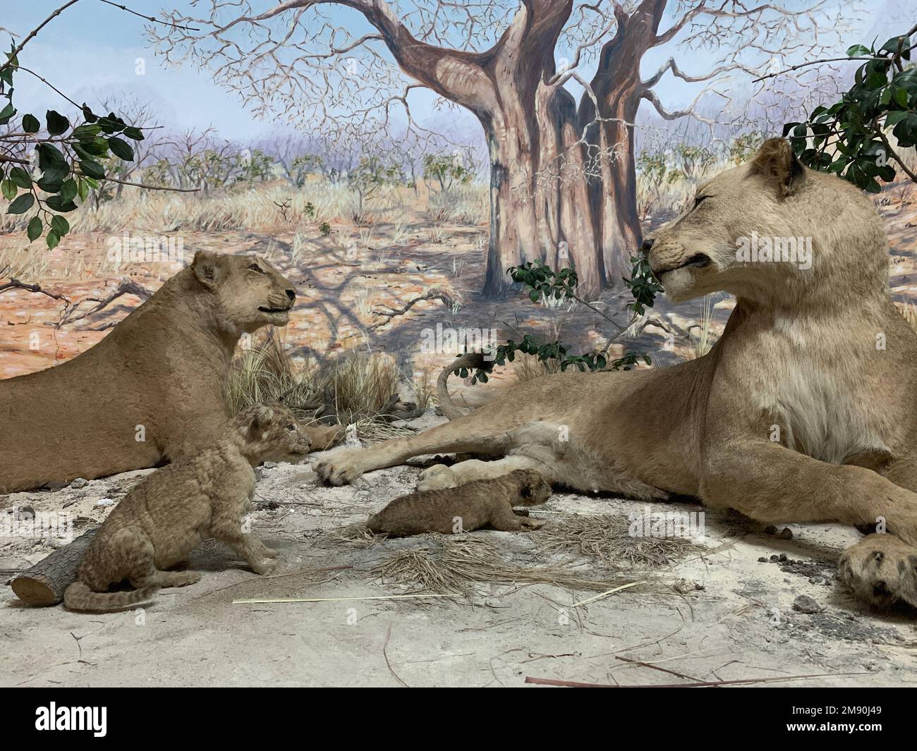 The statues of the European lions and their cubs in a park near trees ...