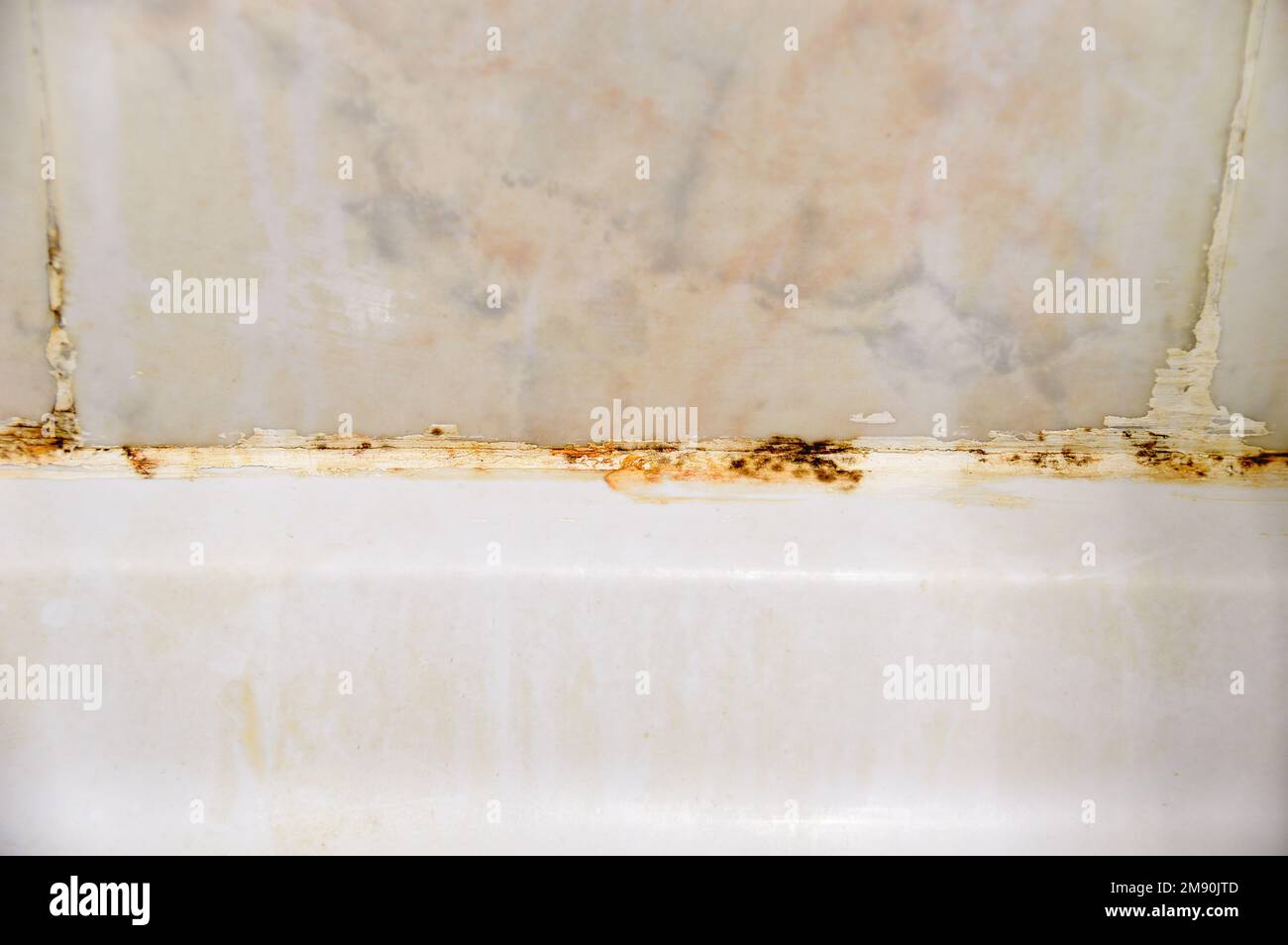 Disgusting home shower bathroom tile sealant with mould and mildew ...