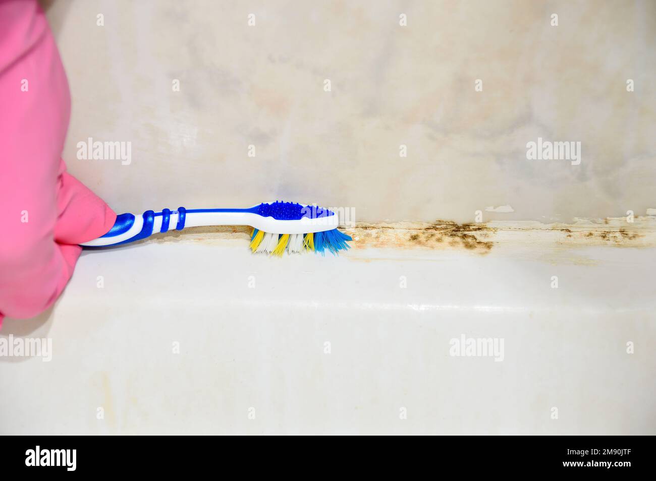 Cleaning moldy tile with a toothbrush at bathroom Stock Photo - Alamy