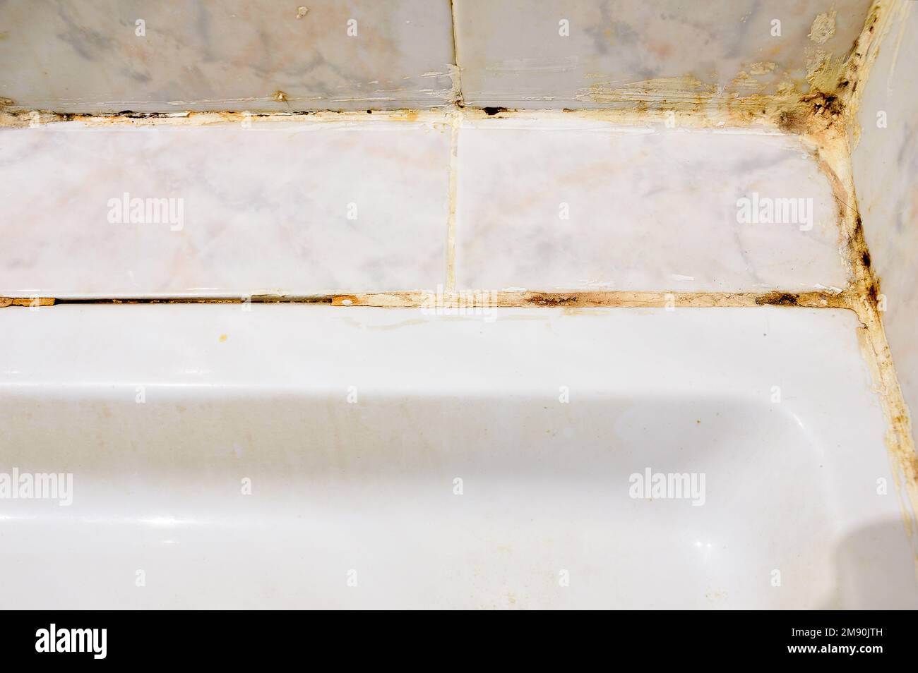 Disgusting home shower bathroom tile sealant with mould and mildew ...