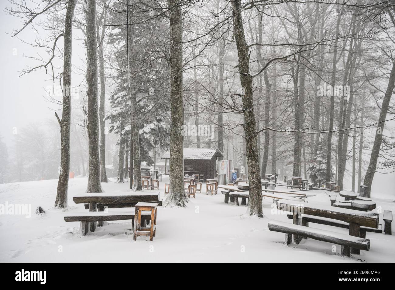 Winter time with heavy snow at Medvednica mountain in Zagreb, Croatia ...