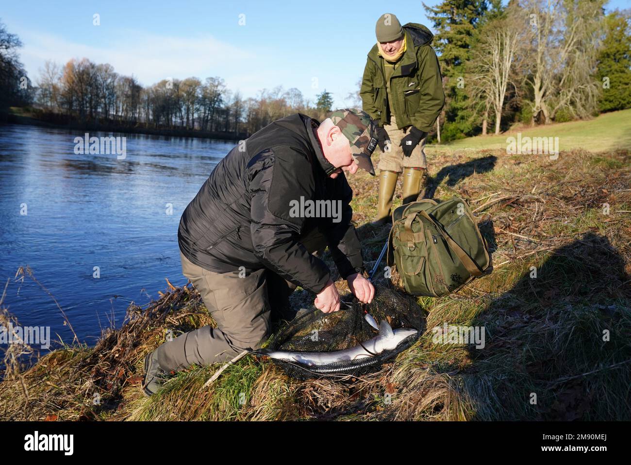 Salmon kelt hi-res stock photography and images - Alamy