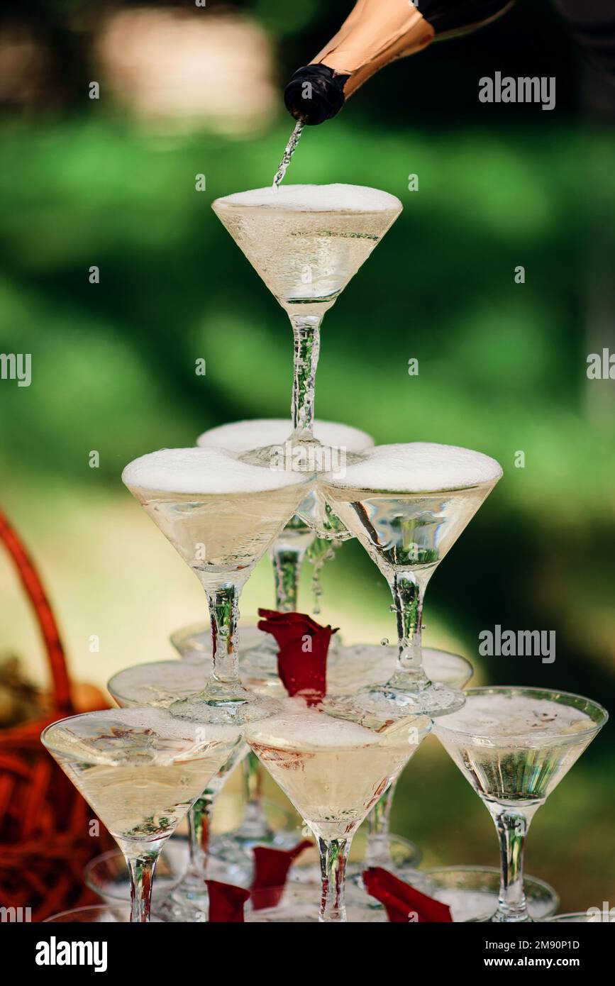 pyramid of champagne glasses for a festive party is filled from the ...