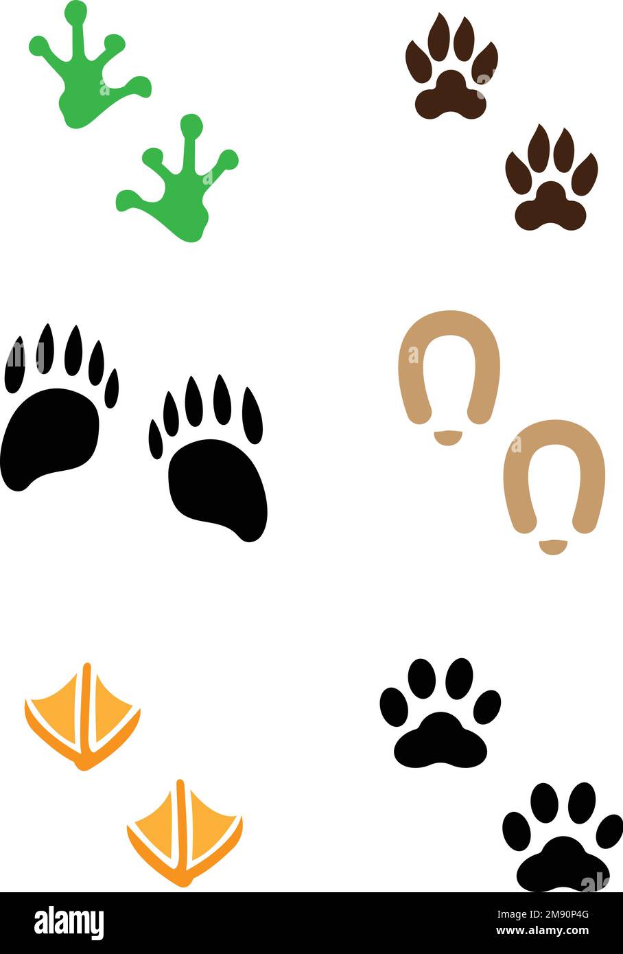 Fox footprint footstep hi-res stock photography and images - Alamy