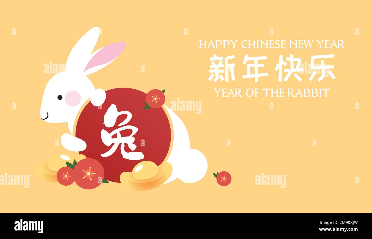 Cute rabbit for chinese new year holding rabbit chinese character ...