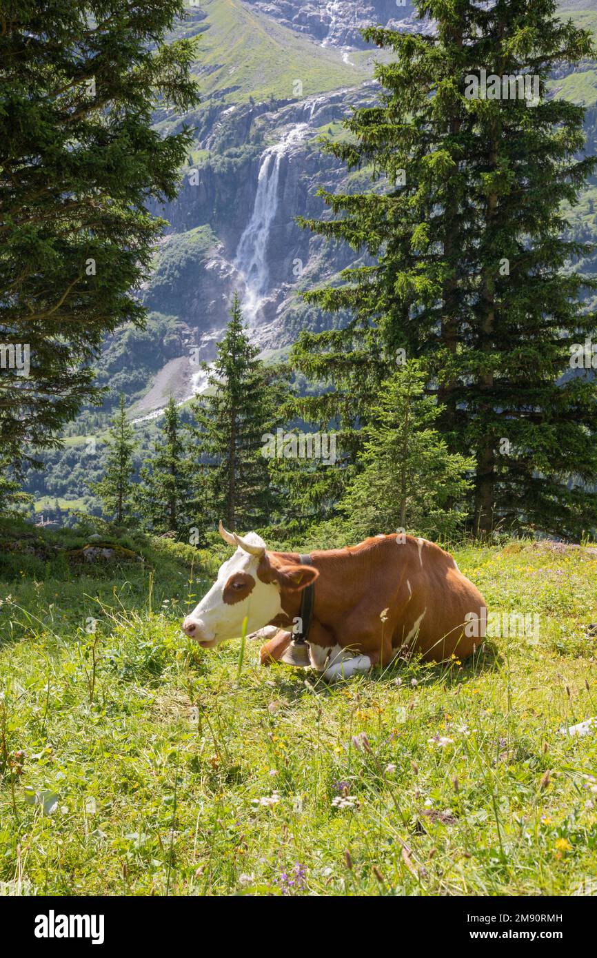 Switherland - The Holdrifall waterfall in Hineres Lauterbrunnental ...