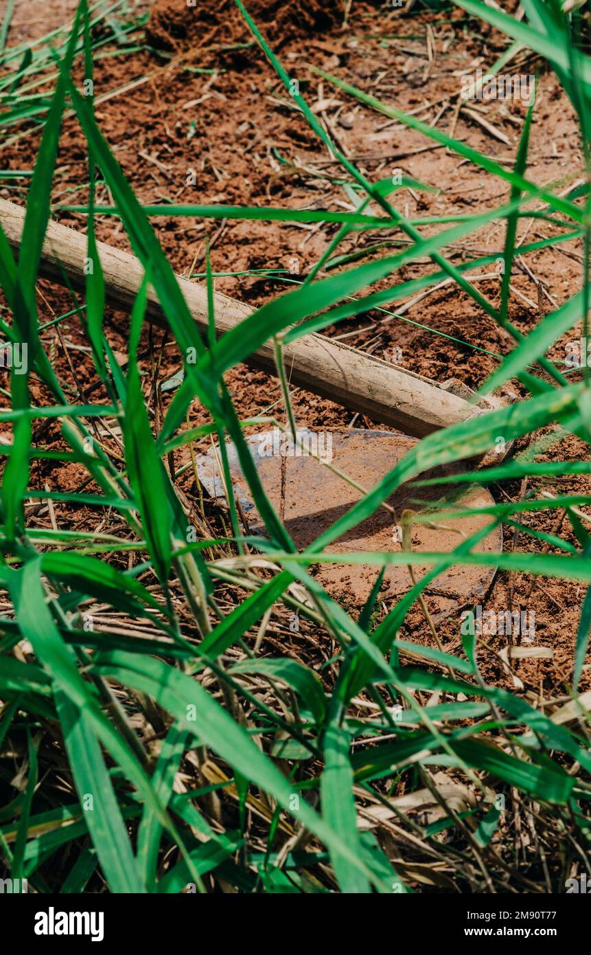 Old hoe hi-res stock photography and images - Alamy