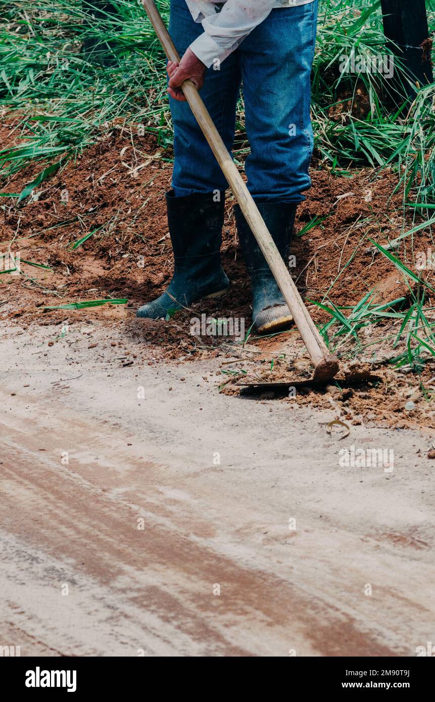 Unidentifiable farm worker cutting weeds with a hoe in a farm Stock ...