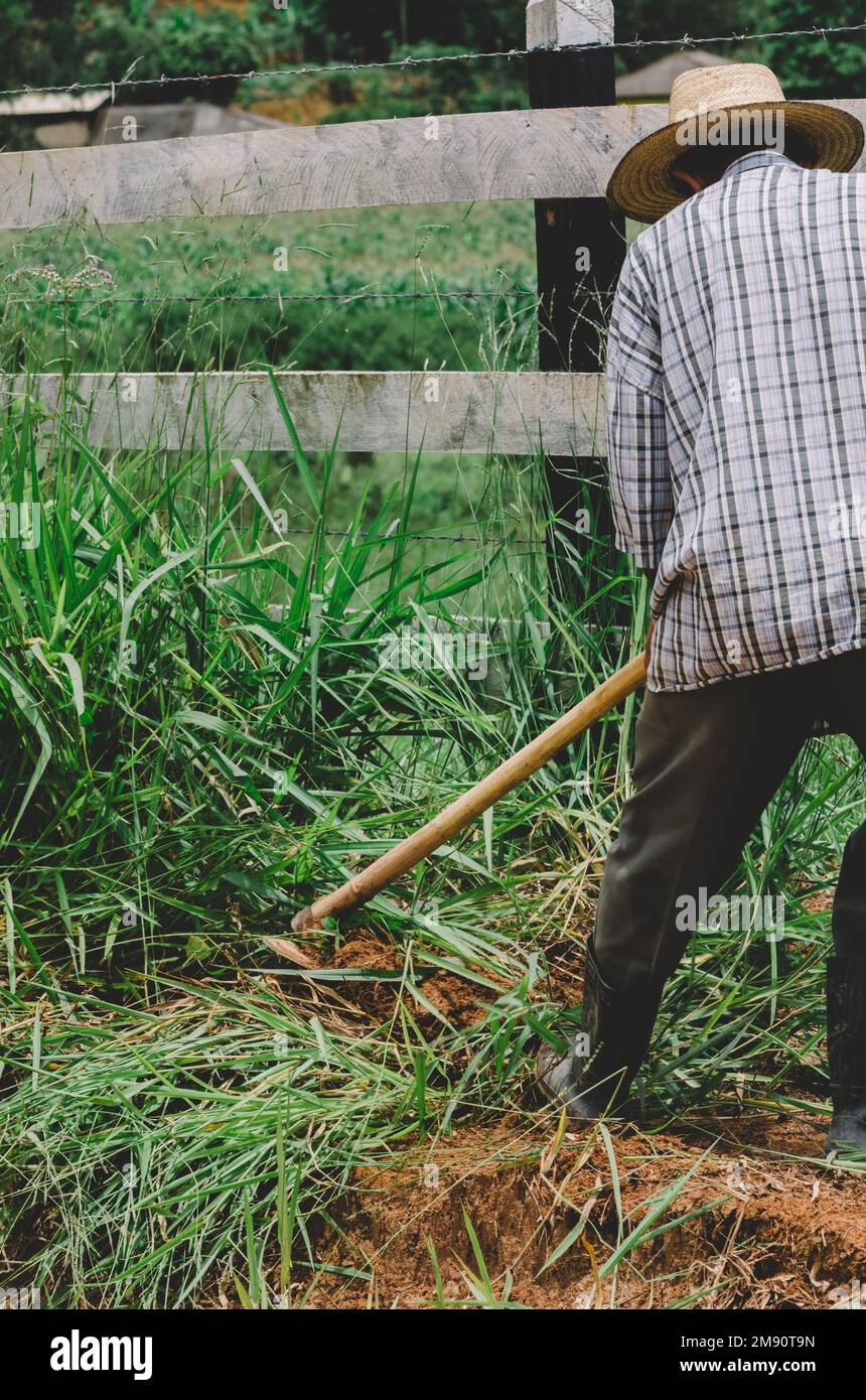Unidentifiable farm worker cutting weeds with a hoe in a farm Stock ...