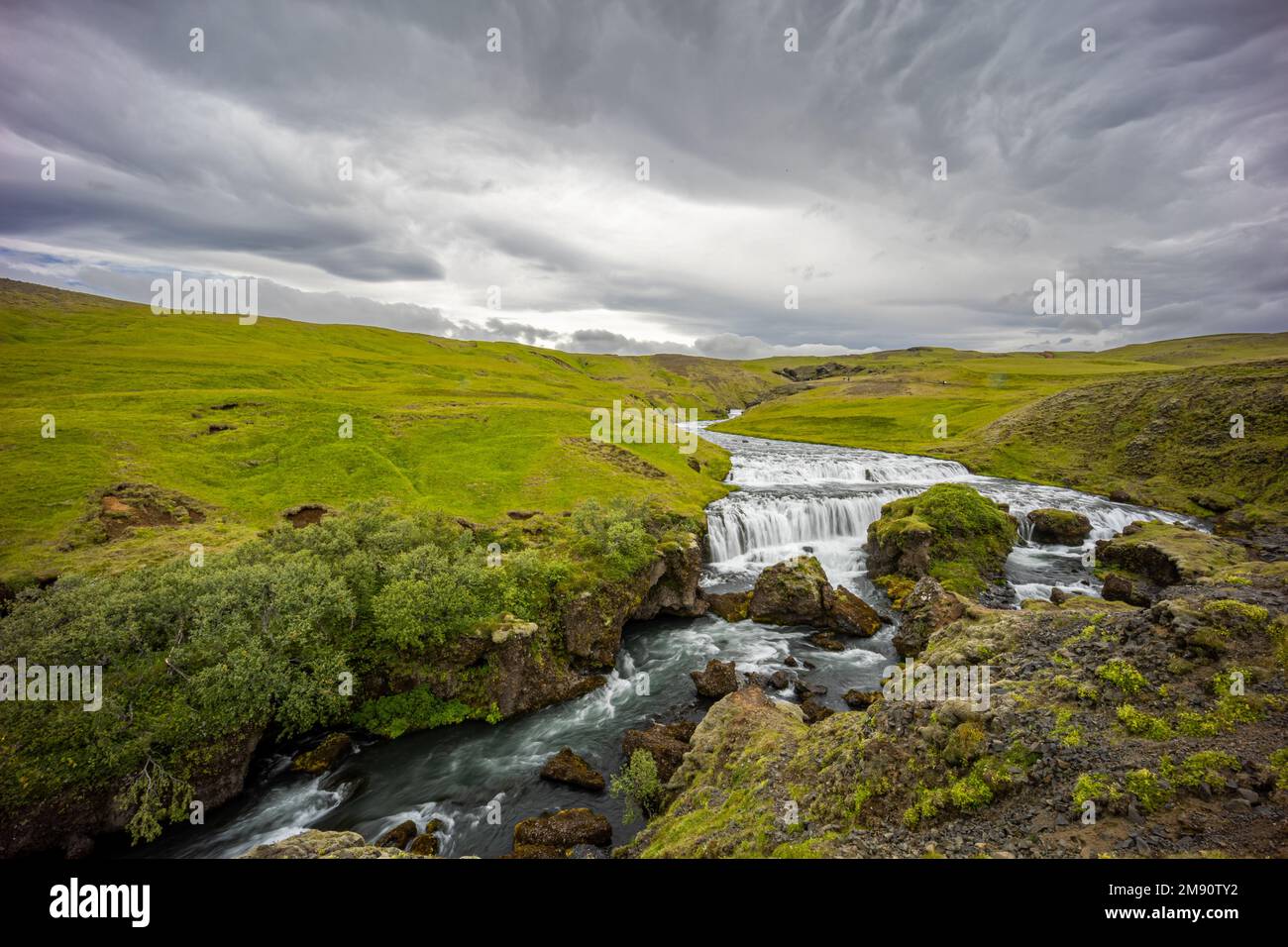 Green grass and pasture hi-res stock photography and images - Alamy