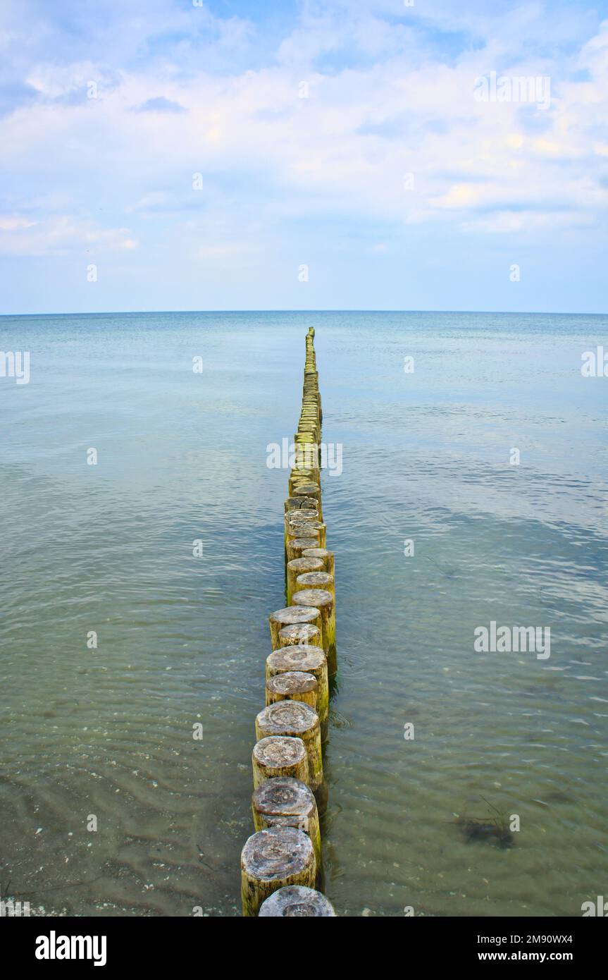 Groynes on the beach of the Baltic Sea in Zingst. calm water on the ...