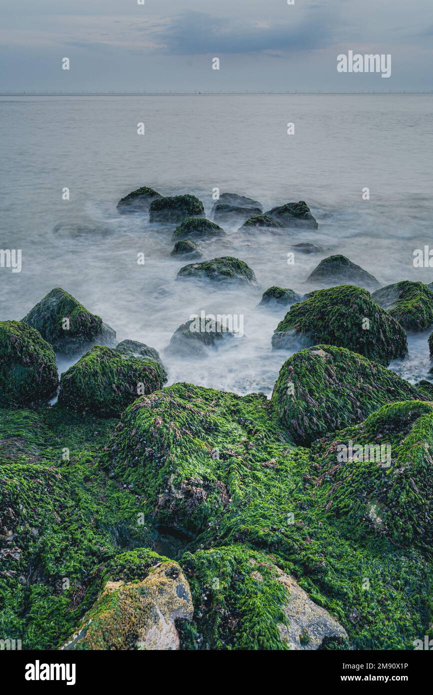 The Waves splash over rocks with moss Stock Photo - Alamy