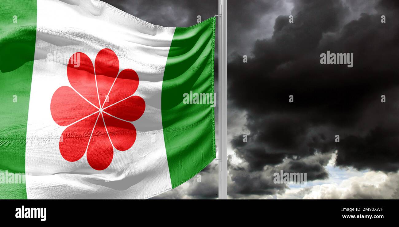 Independent Taiwan flag proposal variant, four hearts in harmony symbol ...