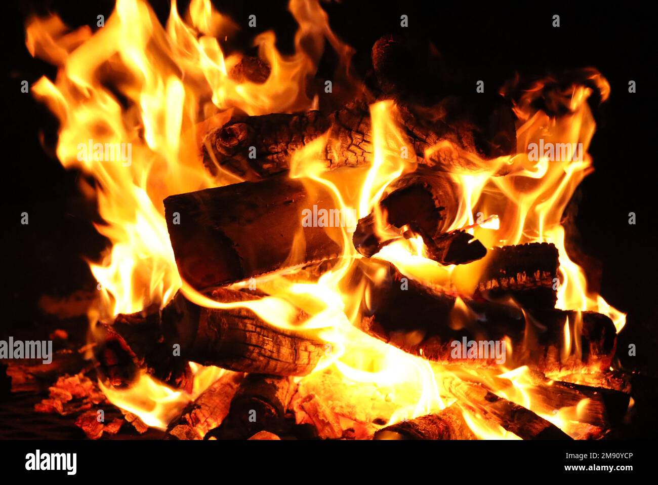 Campfire in the bush Stock Photo - Alamy