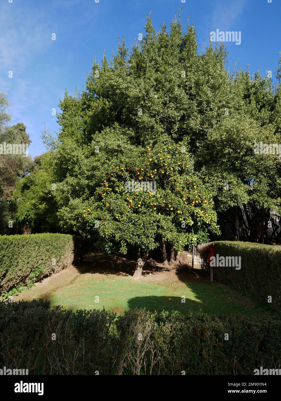 Sassari, Sardinia, Italy. Monserrato Park recreation area Stock Photo ...