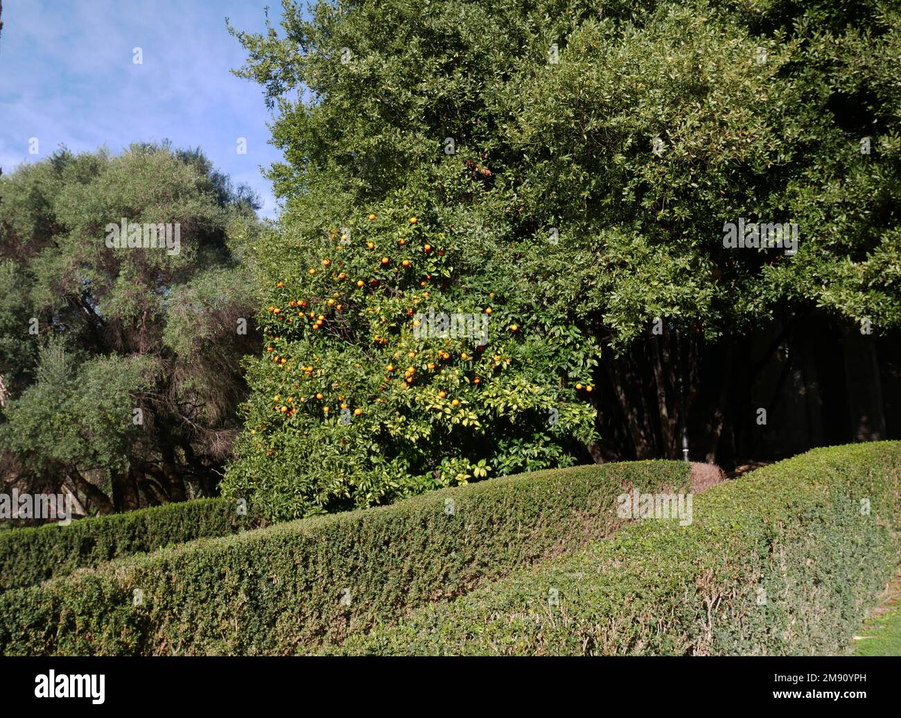 Sassari, Sardinia, Italy. Monserrato Park recreation area Stock Photo ...