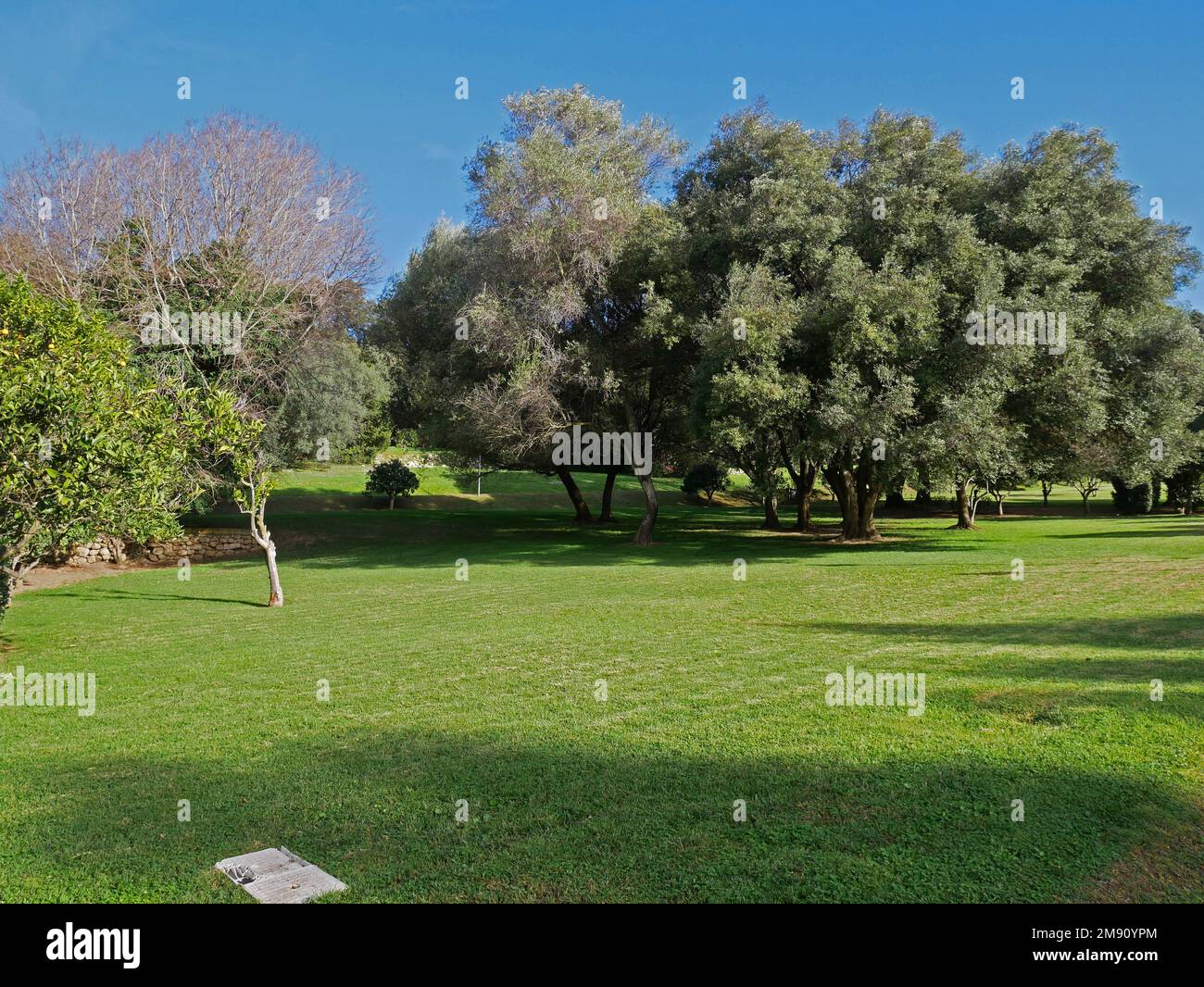 Sassari, Sardinia, Italy. Monserrato Park recreation area Stock Photo ...
