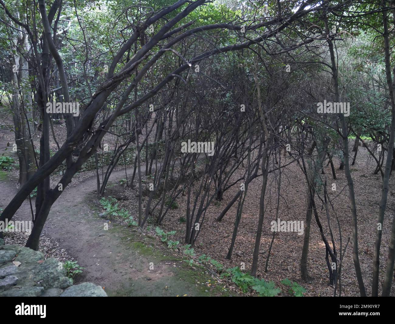 Sassari, Sardinia, Italy. Monserrato park recreation area Stock Photo ...
