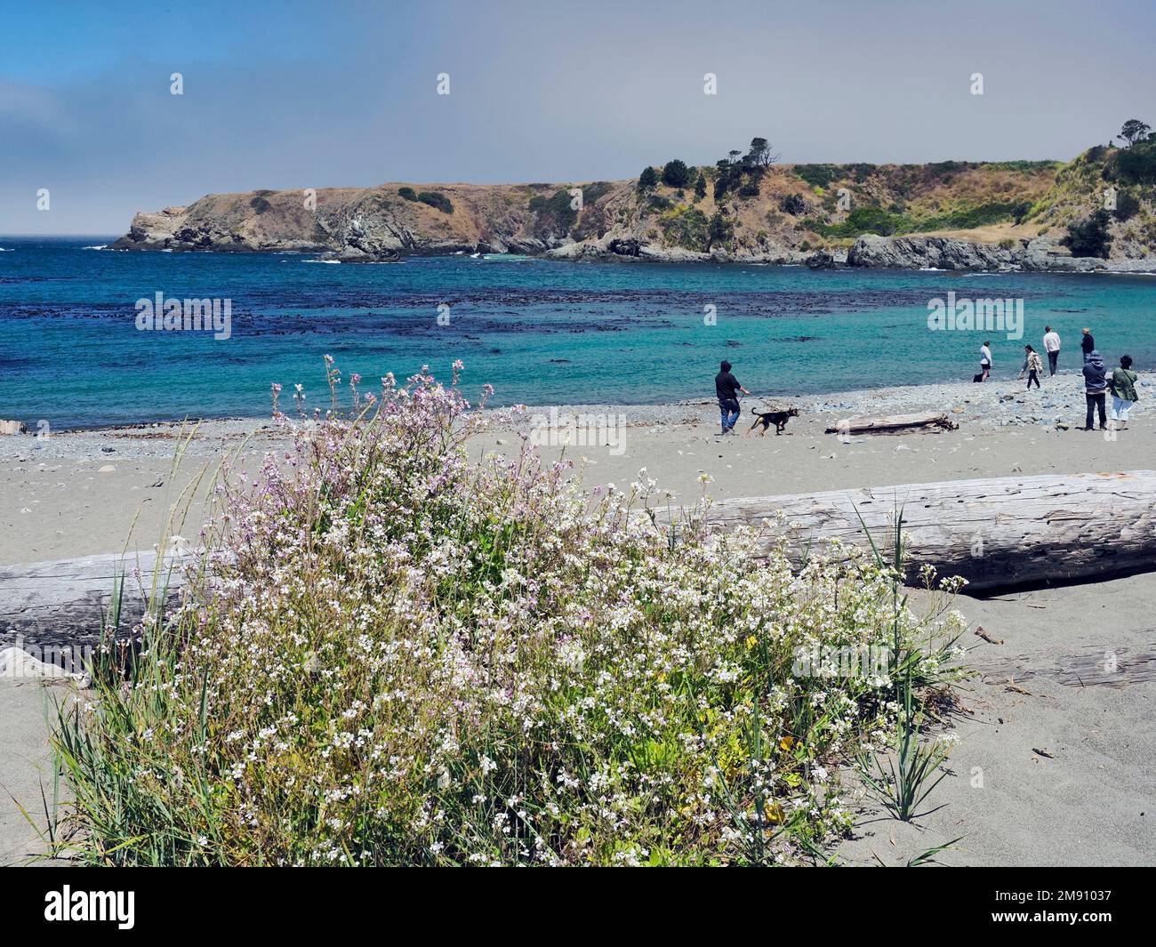 The rocky, rugged and wild beach and coastline at the mouth of the Noyo ...