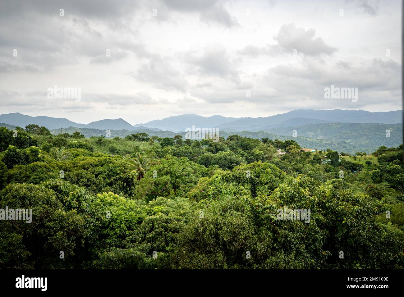 Panoramic overlooking view of green tropical vegetation Stock Photo - Alamy