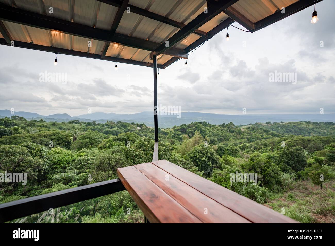Panoramic overlooking view of green tropical vegetation Stock Photo - Alamy