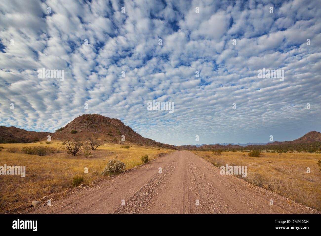 Beautiful natural landscapes in Baja California, Mexico Stock Photo - Alamy