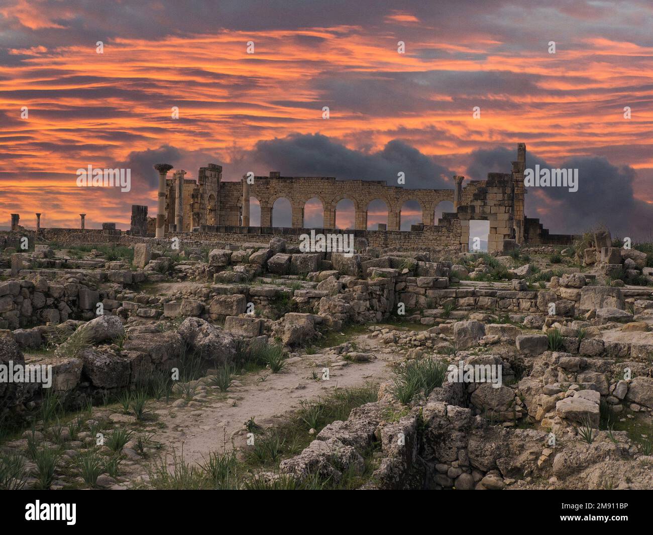 Volubilis Roman ruins in Morocco- Best-preserved Roman ruins located ...
