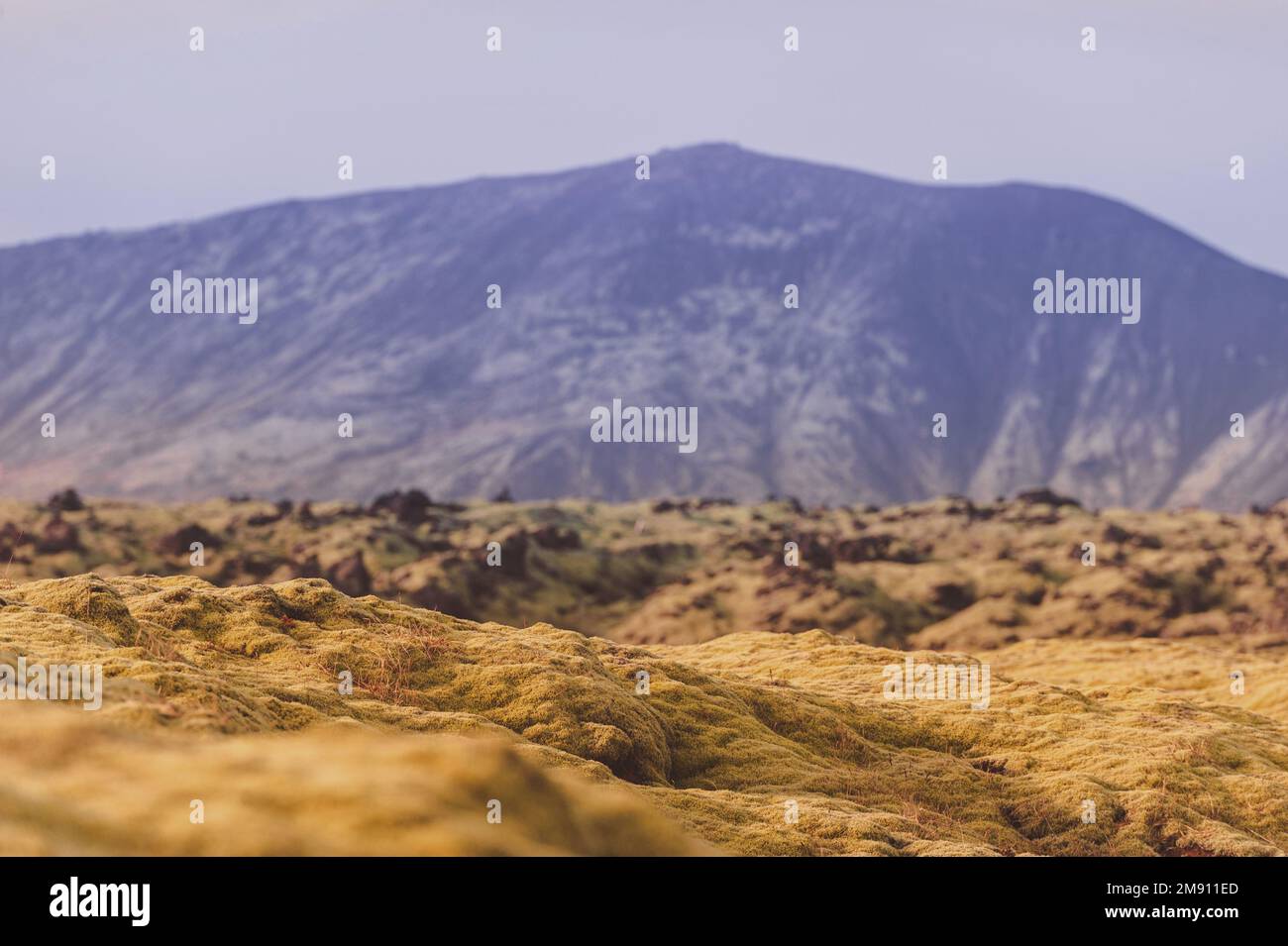 Aerial view iceland moss hi-res stock photography and images - Alamy
