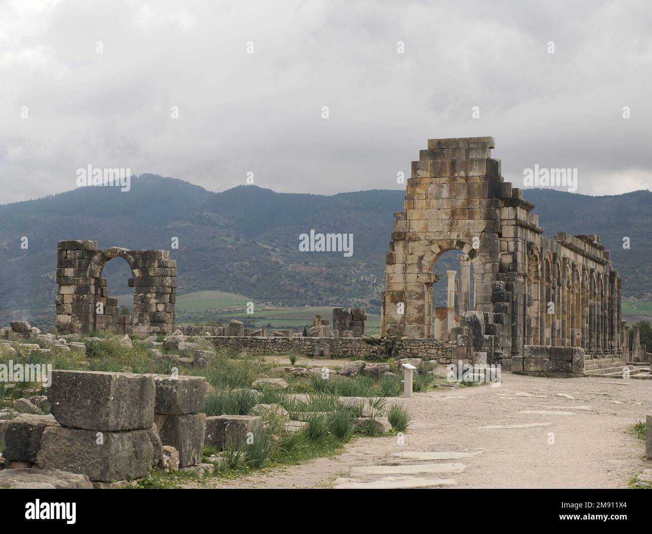 Volubilis Roman ruins in Morocco- Best-preserved Roman ruins located ...
